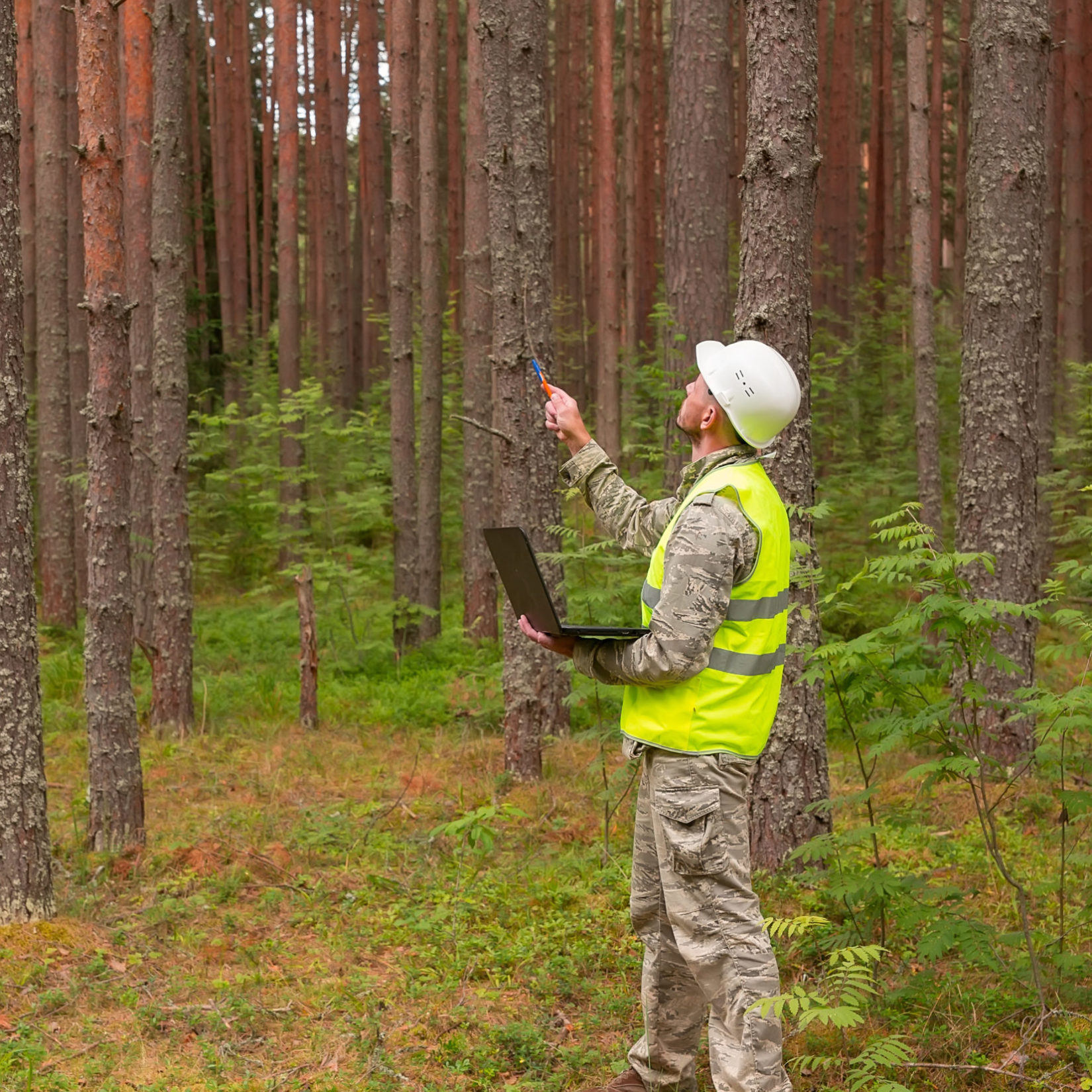 AssuredPartners / American Forestry Conference